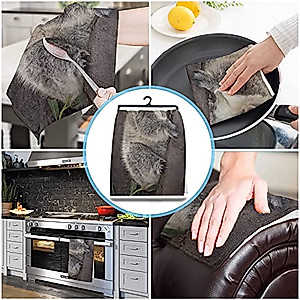 CirCleO Cotton Kitchen Towels 2 Pack, Koala Bear Australia Wild Animals Kitchen Dish Towels, Absorbent Dish Cloths/Bar Towels/Tea Towels/Hand Towels with Hanging Loop, Ultra Soft