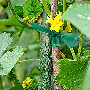 Prudiut 300 Ft Plant Tape 1/2" Stretch Garden Tape Sturdy Plant Ribbon Nursery Tree Tape Support for Indoor Outdoor Patio Plant, Tree, Vegetables, Branches