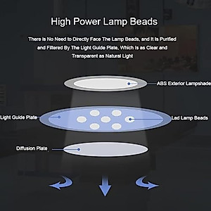 Density Specific Gravity Cup, Liquid Density Hydrometer, 50 ML High-Precision, Used to Test The Specific Gravity of Liquids Such As Paint/Auxiliary Materials and Oils