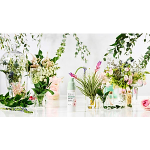 Organic Primer Makeup By Physicians Formula Organic Wear All Natural Mineral Prime, Moisturizes, Protects, Preps Skin, Dermatologist Tested