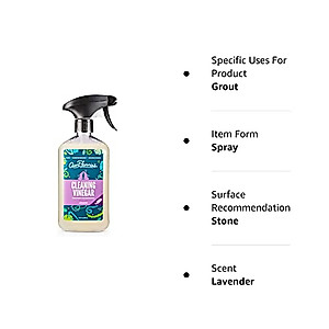 Aunt Fannie's All Purpose Cleaning Vinegar, Multisurface Spray Cleaner, 16.9 Ounces, Lavender Scent (Pack of 1)