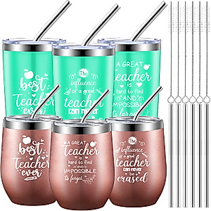 Jinei 6 Pcs Teacher Gifts Wine Tumbler Set Teacher Appreciation Gifts, Funny Thank You Birthday Graduation Gifts for Teachers Professors Nurse, 12 oz/ 20oz Coffee Mug with Lid Straw(Teacher)