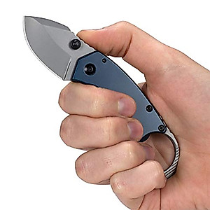 Kershaw Antic Folding Pocket Knife; 1.75-Inch 8Cr13MoV Stainless Steel Bead Blasted Blade, Stainless Steel PVD Coated Handle, Manual Opening, Bottle Opener and Flat Head Screwdriver (8710), Navy