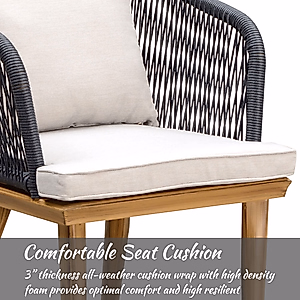 PURPLE LEAF Patio Dining Chair Set 2 Pieces Metal Wicker Rattan Chairs for Outside Porch Garden Kitchen Modern Outdoor Furniture Seating