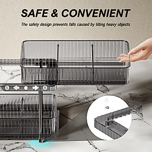 Sellemer Under Sink Organizer: Sliding Kitchen Bathroom Cabinet Organizer, Pull Out Medicine Pantry Organizer with 8 Movable Dividers, 2 Pack Grey and Clear