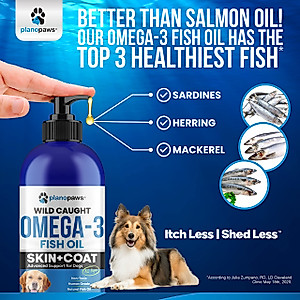 Omega 3 Fish Oil for Dogs - Better Than Salmon Oil for Dogs - Dog Fish Oil Supplement for Shedding, Allergy, Itch Relief - Supports Dry Skin, Joints - Dog Skin and Coat Supplement - Fish Oil Liquid