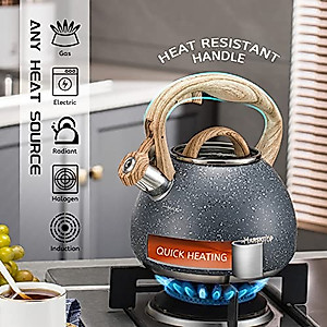 MARSKITOP Tea Kettle Stovetop Whistling Tea Pot for Stove Top, Stainless Steel Tea Kettle Teapot with Wooden Pattern Handle, 2.6 Quart, Gray