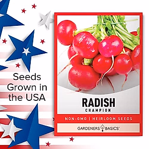 Radish Seeds for Planting - Champion Variety Heirloom, Non-GMO Vegetable Seed - 2 Grams of Seeds Great for Outdoor Spring, Winter and Fall Gardening by Gardeners Basics