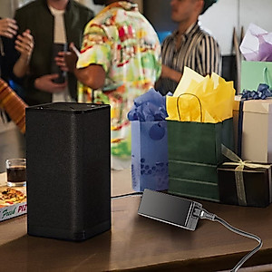 CASIMY 19V UE Speaker Power Cord Adapter Compatible with Ultimate Ears S00175 UE Hyperboom Portable Bluetooth Party Speaker 884-001085 984-001591 984-001689 984-001688 DSA-90PFE-19 Hyper Boom Charger