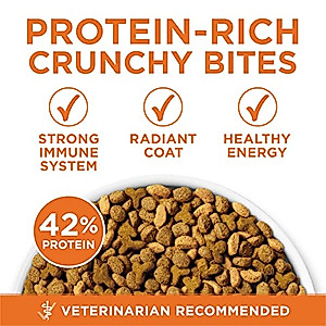 Purina ONE High Protein, Healthy Weight Dry Cat Food, +Plus Ideal Weight With Turkey - 16 lb. Bag