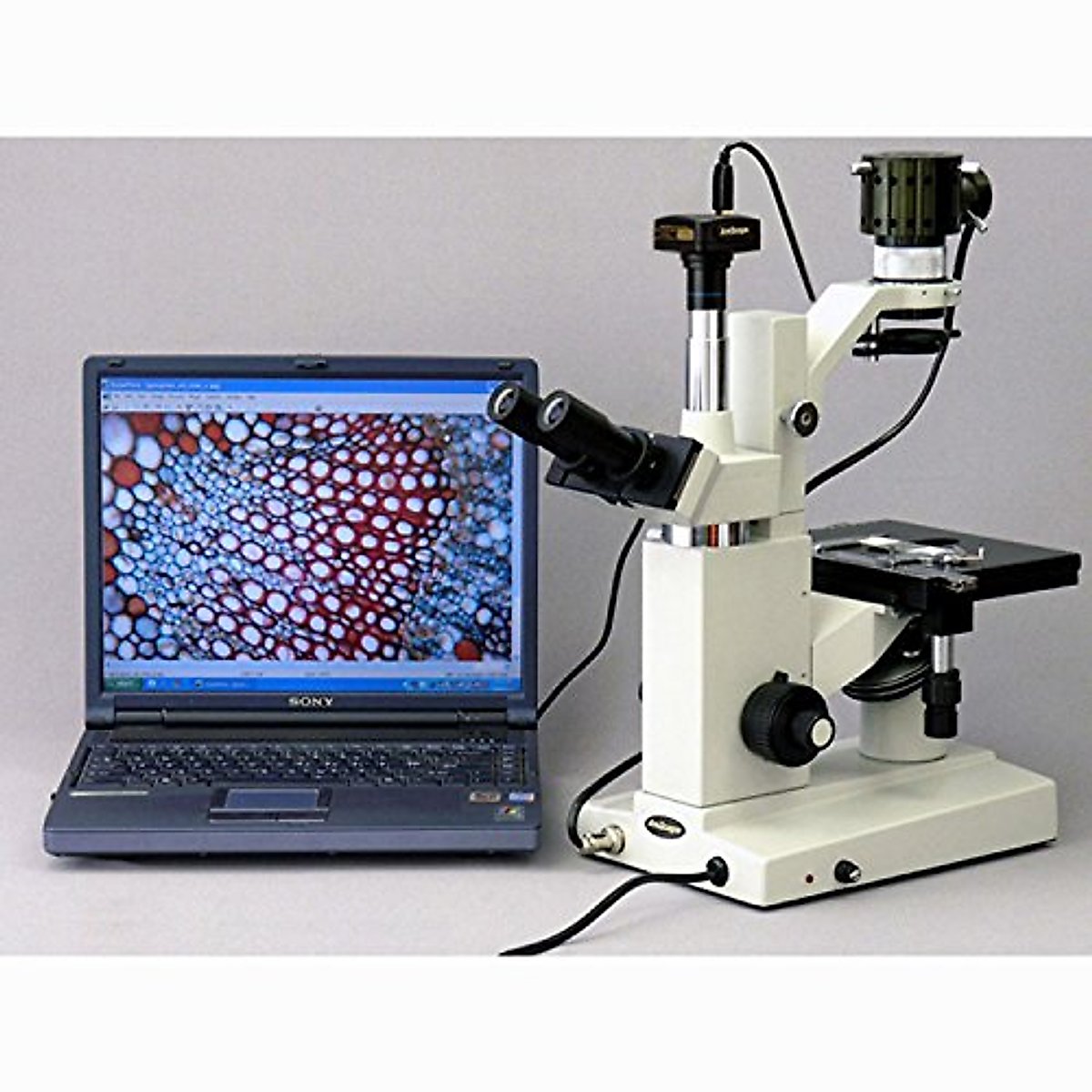 AmScope MU1003 10MP USB3.0 Real-Time Live Video Microscope Digital Camera 10 MP, white