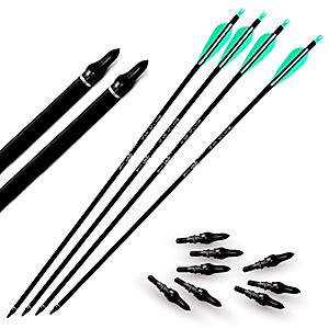 Archery Arrow Field Points Tips - Practice Target & Hunting Arrows Heads for Recurve, Compound Bow & Crossbow Bolts, Screw-in 100 Grain (12 Pack)