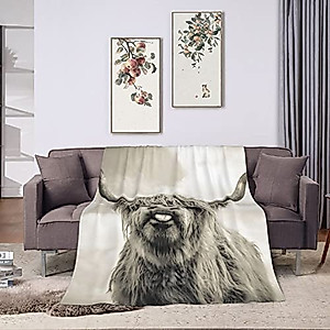 Highland Cow Blanket Cattle Cow Portrait Flannel Throw Blanket for Living Room Couch Bed Sofa Kids Adults All Seasons 50"x40"