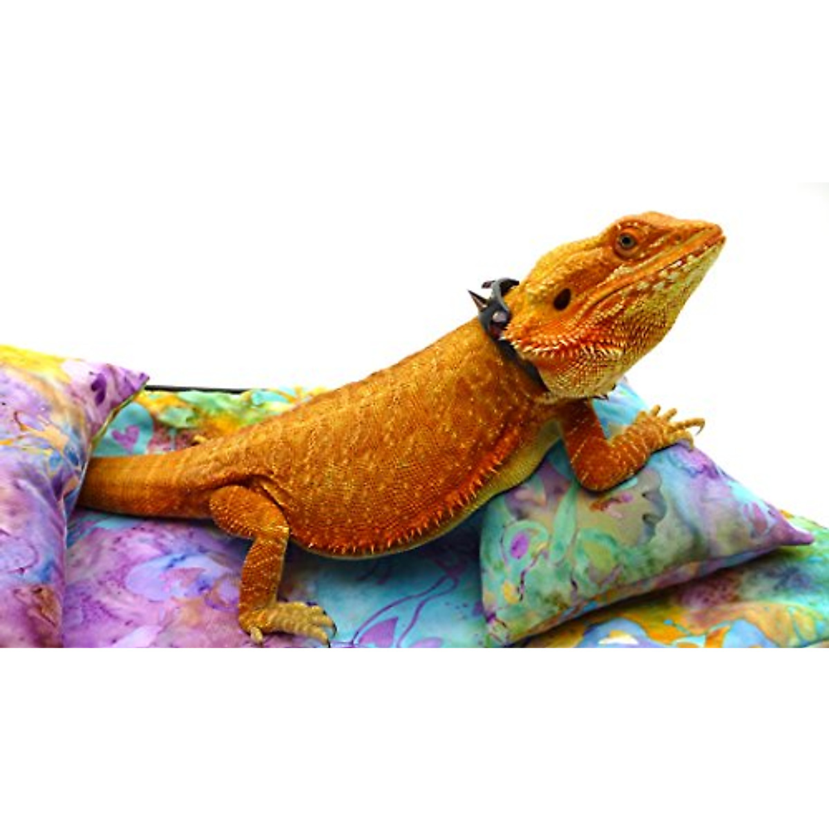 Chaise Lounge for Bearded Dragons, Watercolor Flowers Fabric