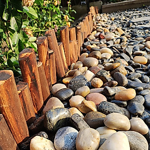 YISZM 2lbs White River Rocks, 1-2 Inch Natural Pebbles for Indoor Plants, High Polished Decorative Stones Vase Filler Fish Tank Aquariums Landscaping Garden Outdoor and Indoor DIY