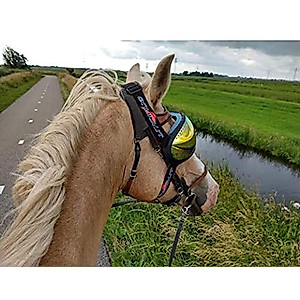 eVysor UV Protection Horse Riding Goggles by eQuick-it - MIrrored Blue Lenses