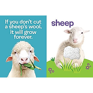 Touch and Feel Farm Animals - Novelty Book - Children's Board Book - Interactive Fun Child's Book