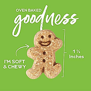 Buddy Biscuits Grain Free Soft & Chewy Dog Treats, Small Dog or Large Dogs Training, Healthy Roasted Chicken 5 oz.