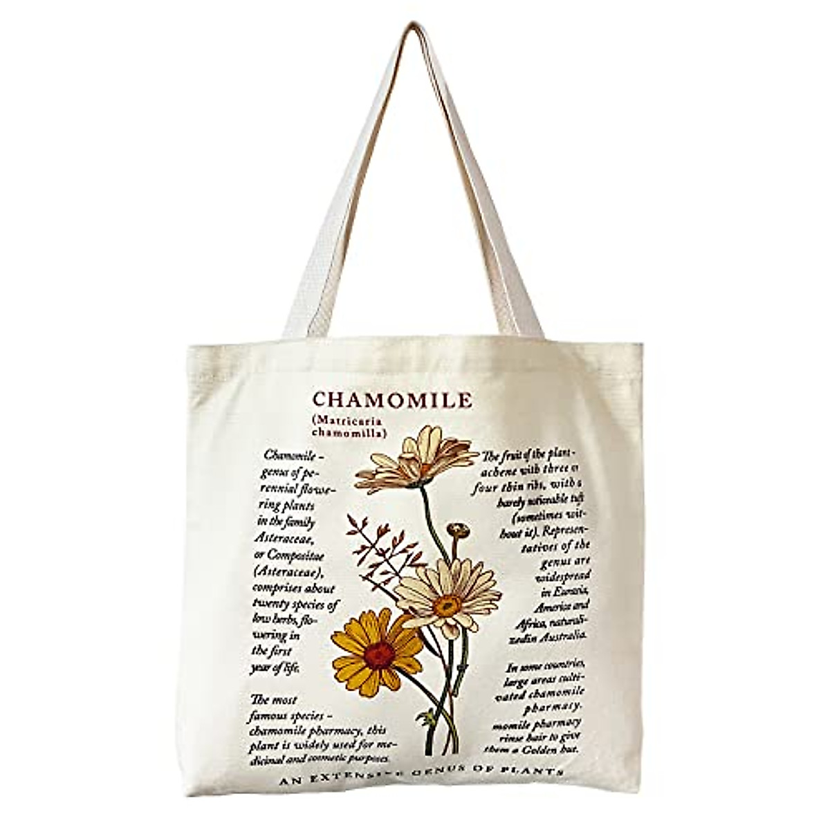 Keanoo Canvas Tote Bag, Aesthetic Tote Bag for Women School Shoulder Bag with Zipper Gift Bag for Teacher's Day