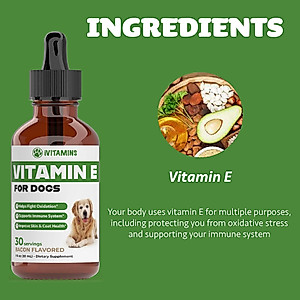 Vitamin E for Dogs | Vitamin E Dog | Vitamin E for Dog | Dog Vitamins E | Vitamin E Canine | Vitamin E Supplement for Dogs | Vitamin E Oil Dog | Dog Vitamins | Dog Immune Support | 1 fl oz