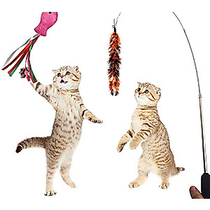Cat Toys Set, Cat Retractable Teaser Wand, Catnip Fish, Interactive Cat Feather Toy, Mylar Crincle Balls, Two Cotton Mice, Four Fluffy Mouse