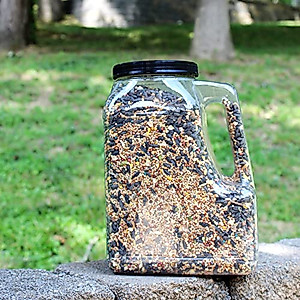 Cornucopia Clear Plastic Gallon Jar with Handle and Airtight Lid (2-Pack) for Bulk Food, Craft Supplies, Paint and Detergent Storage and More