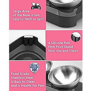 PewinGo Raised Cat Bowl with Stainless Steel, Non-Slip Silicone Mat & Raised Cat Feeder with 15° & 0° Tilting Neck Protective Bowl for Pets, Cats Food and Water Feeding