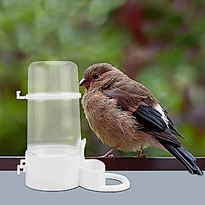 balacoo 2Pcs Automatic Bird Feeder Bird Water Bottle Poultry Drinker Water Jug Container Food Dispenser for Chickens Birds Pigeon Quail White