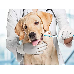 dog oral hygene - DOG TEETH HEALTH FORMULA - NATURAL GUM CARE - REMOVES PLAQUE BUILD UP - FRESHENS BREATH - dog cranberry supplement soft chews - 3 Bottles (180 Treats)