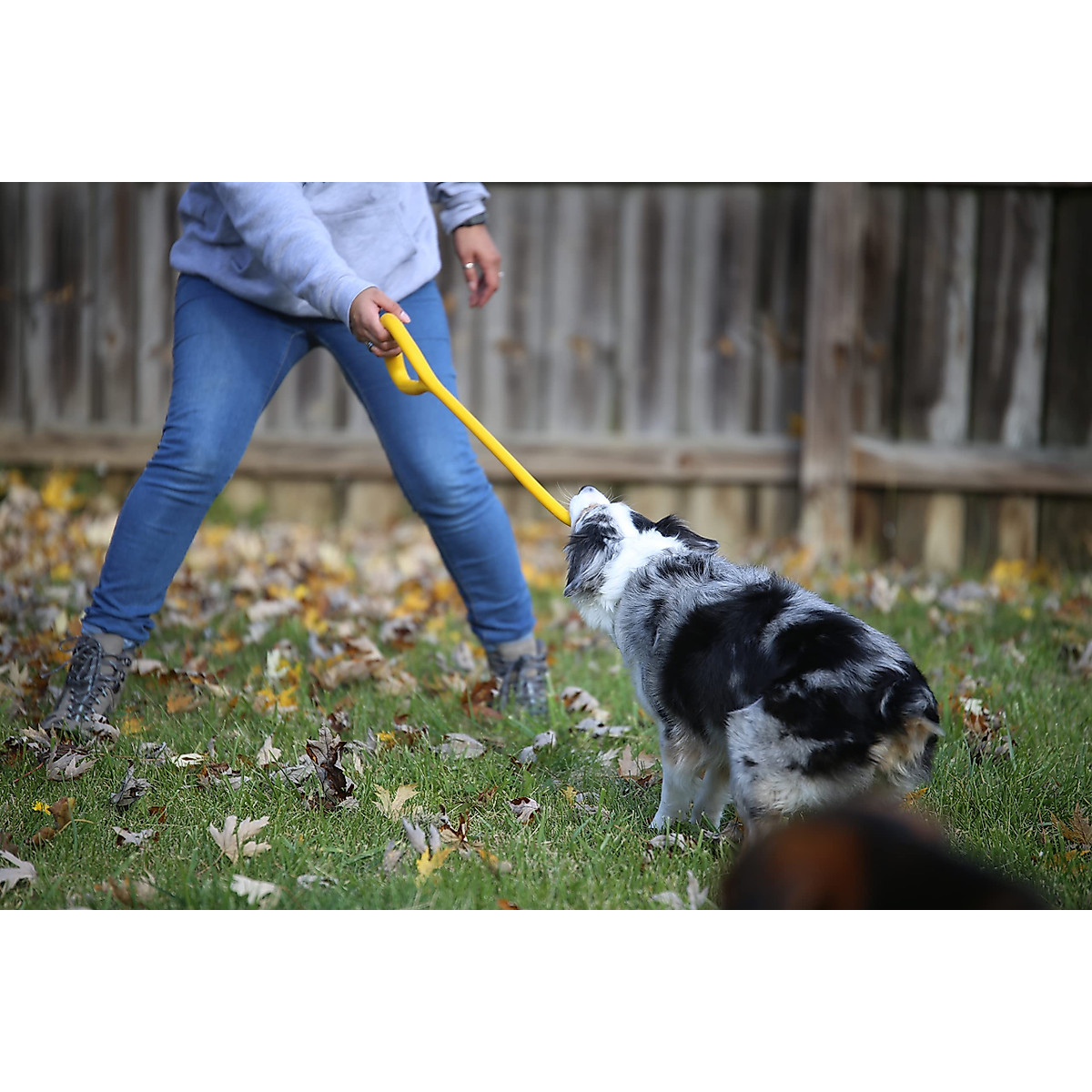 Jersey Dog Co Ultimate Dog Tug Toy, Dog Pull Toy, Tug of War Dog Toy, Safe Dog Chew Toys, Made in The USA Rubber Dog Toy 23” Long