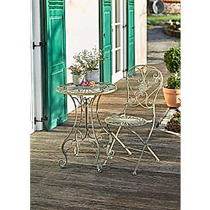 Westcharm Folding Metal Bistro Outdoor Chair for Outside Patio with Peacock Tail Motif, Set of 2