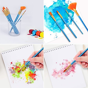 AROIC Painting Brush Set, 20 Packs /240 Pcs, Nylon Brush Head, Suitable for Oil and Watercolor, Perfect Suit of Art Painting, Best Present for Painting Enthusiasts.