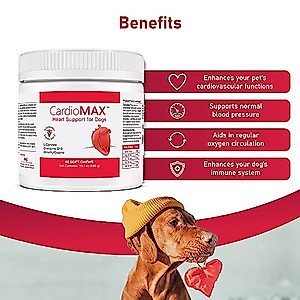 CardioMAX Heart Support Supplement for Dogs - L-Taurine, L-Carnitine, EPA and DHA, Coenzyme Q10 - Aids Circulatory Strength, Cardiovascular Support, Heart Muscle Function - Made in USA - 60 Soft Chews