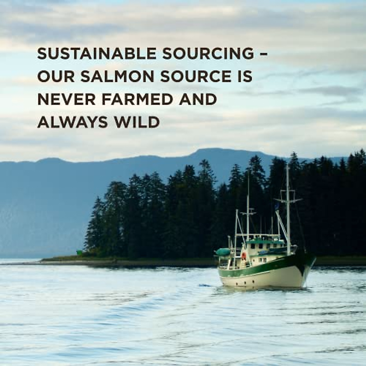 Solgar Wild Alaskan Full Spectrum Omega, 120 Softgels - Supports Heart, Brain, Bone and Skin Health - Provides Vitamin D3 - Rich Source of EPA & DHA - Non GMO, Gluten Free, Dairy Free - 60 Servings