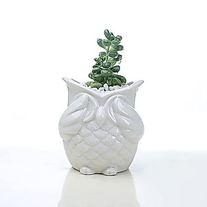YONGYAN Owl Flower Pot Statue Decoration Ceramics Garden Planters Containers Pot Bookshelf Office Desktop Decor