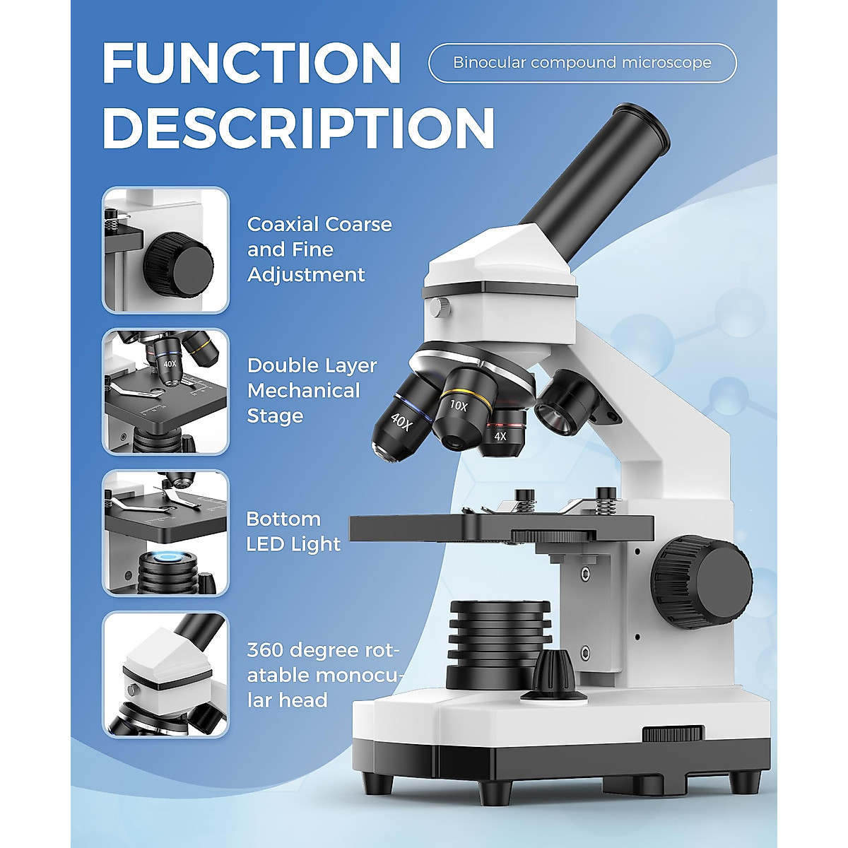 PalliPartners Compound Microscope for Adults & Kids - 100X-2000X High-Power Biological Microscope for Students, School Lab & Home Education, with Slides Set & Phone Adapter (White)