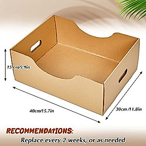 10 Pcs Disposable Litter Box for Cats Kitty Box Small Disposable Paper Cat Litter Trays Cardboard Litter Tray for Cats Small Pets Liner Animals Home Indoor Outdoor, 15.7 x 11.8 x 5.9 Inch