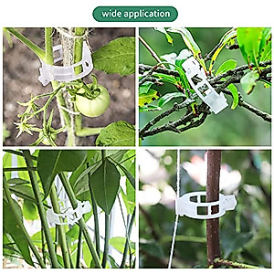 300 Pcs Plant Support Clips,Plant Clips for Climbing Plants Tomato Garden Vine Clips for Supporting Vegetables Plants Stalks,Vines,Climbing Plant Tomato Trellis Clips (White)