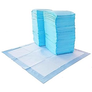 Amazon Basics Absorbent Puppy Pads for Potty Training and Incontinence, 5-Layer Leak-Proof Design, Quick-Dry Surface, Regular Size, 22 x 22 Inch, Scented, Pack of 100, Blue & White