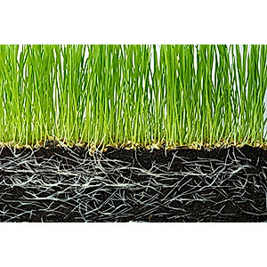 Potassium Polyacrylate for Garden Lasts Up to 7 Years in Soil (1)