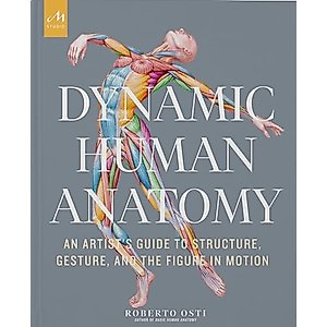 Dynamic Human Anatomy: An Artist's Guide to Structure, Gesture, and the Figure in Motion