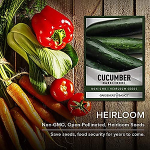 Cucumber Seeds for Planting - Marketmore 76 - Cucumis sativus Heirloom, Non-GMO Vegetable Variety- 1 Gram Seeds Great for Outdoor Gardening by Gardeners Basics