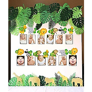 LaVenty Jungle Gold Monthly Photo Banner Wild One Monthly Photo Banner Safari First Birthday Banner Monthly Photo Banner Zoo Jungle Banner