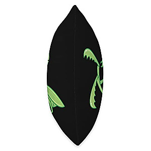 CharlIan Minds - Praying Mantis Funny Insect Lover Praying Mantis with Sunglasses Grasshopper Throw Pillow, 16x16, Multicolor