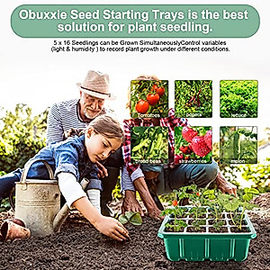 OBUXXIE Seed Starter Tray with Grow Light - 5Pcs Seed Starter Kit with Adjustable Brightness & Humidity for Indoor Seed Growing Germinating Propagation, 2 Meters Timing Controller (16x5 Cells)