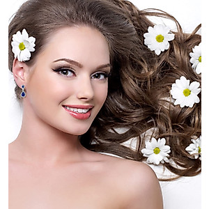 LAVINA Fancy Teardrop CZ Pierced Dangle Earring Classically And Elegant Hypoallergenic Earrings For Women Brides Wedding (Blue)