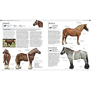 The Horse Encyclopedia (DK Pet Encyclopedias)