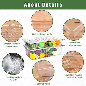 Mifoci 6 Pcs Commercial Plastic Food Pans with Lids Clear Food Pans Included 2 Pcs Full Size 6 Inch Deep Hotel Pan 4 Pcs 1/2 Size 4 Inch Freezer Food Storage for Storage Kitchen Restaurant