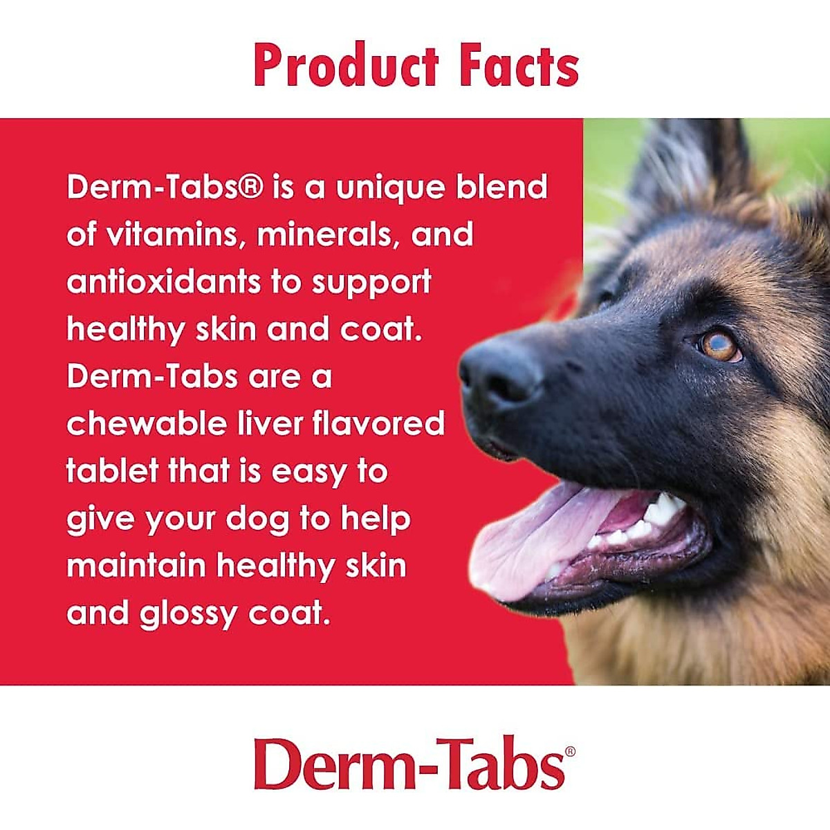 Pet Health Solutions Derm Tabs Extra Strength for Dogs - Natural Oil, Vitamins, Minerals, and Antioxidants - Support Healthy Skin and Reduce Shedding - 360 Chewable Tablets