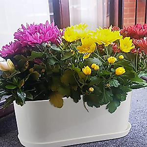 Torfican 5 Set Window Herb Planter Box Rectangular,8.5x3.5 Inch White Plastic Planters with Multiple Drainage Holes and Trays,Indoor Succulent Cactus Mint Flower Pot for Windowsill,Garden Balcony